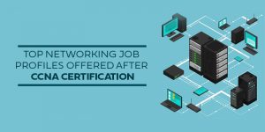 Top Networking job profiles offered after CCNA Certification - FITA Academy