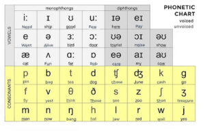 Phonetics and phonology: understanding the sounds of speech